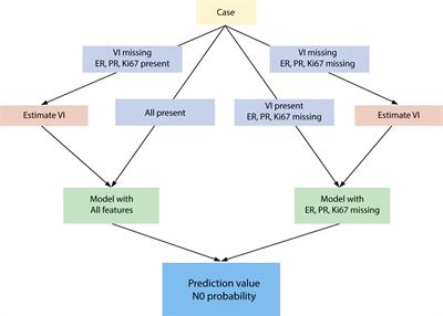 Frontiers | The implementation of NILS: A web-based artificial neural network decision support ...